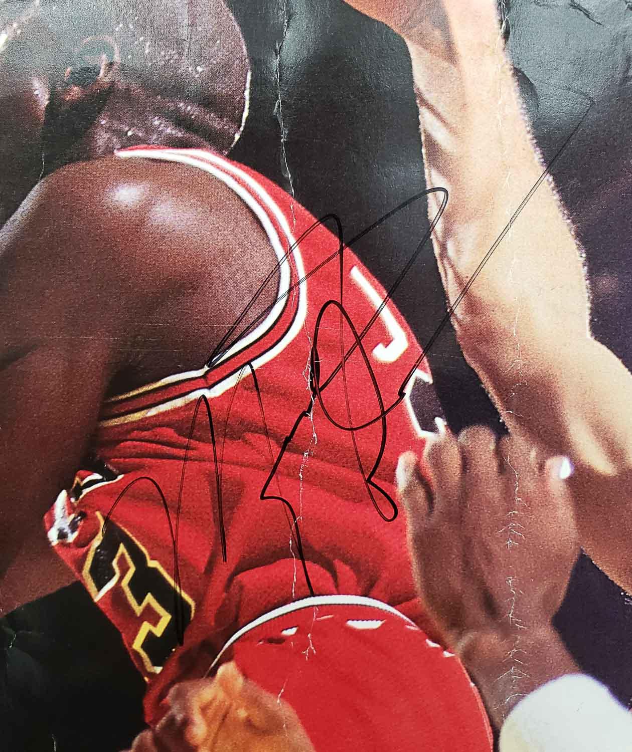 Michael Jordan, Stacey King, BJ Armstrong & Bill Cartwright Signed ...